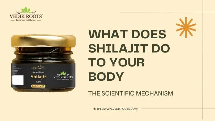 what does shilajit do to your body - The Scientific Mechanisms – Vedikroots